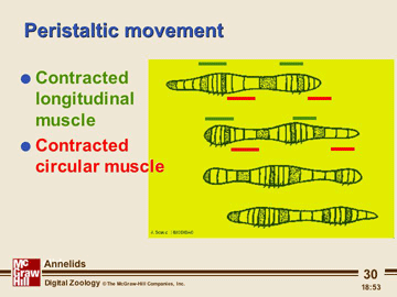 Untitled Page [bioclass.cos.ncsu.edu]